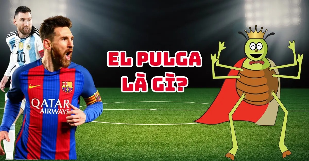 El Pulga Là Gì? Tìm Hiểu Tại Sao Messi Được Gọi Là El Pulga?